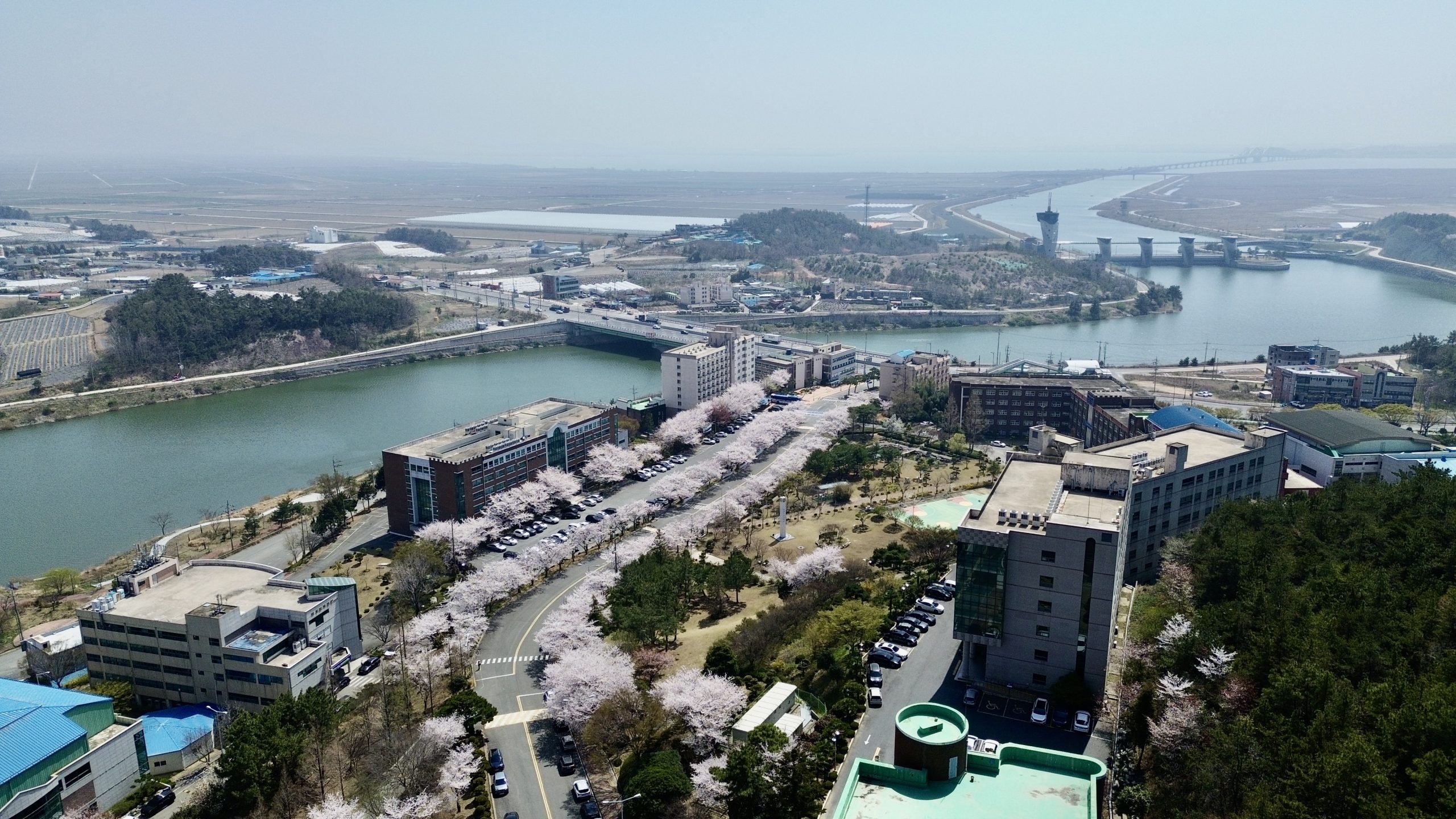 世翰大学校 – SEHAN UNIVERSITY