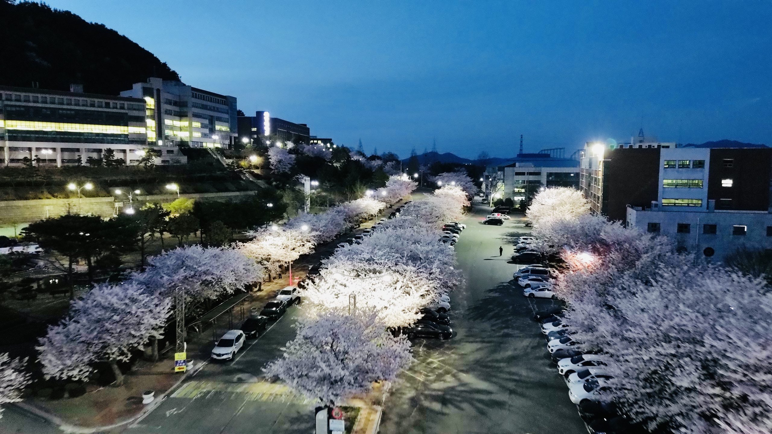 世翰大学校 – SEHAN UNIVERSITY