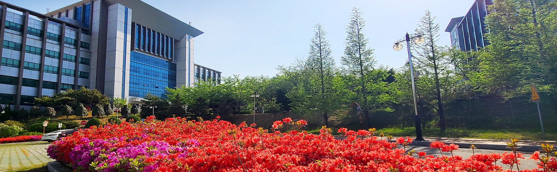 世翰大学校 – SEHAN UNIVERSITY